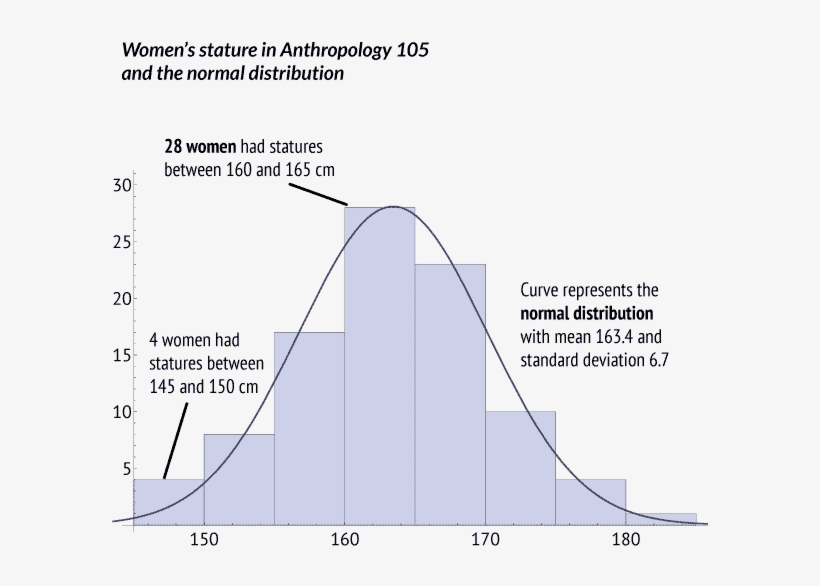 Female Student Stature Histogram - Diagram - 600x600 PNG Download - PNGkit