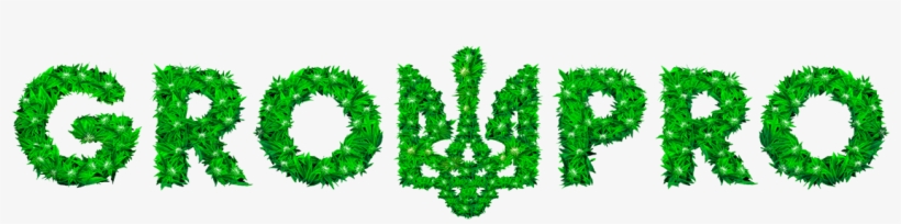 Growpro - 1181x276 PNG Download - PNGkit