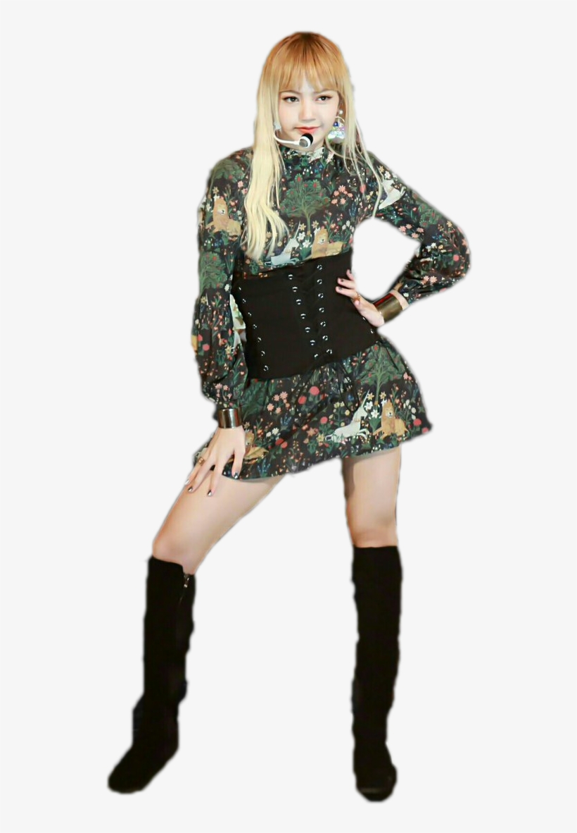 Lisa Blackpink Png - 597x1199 PNG Download - PNGkit