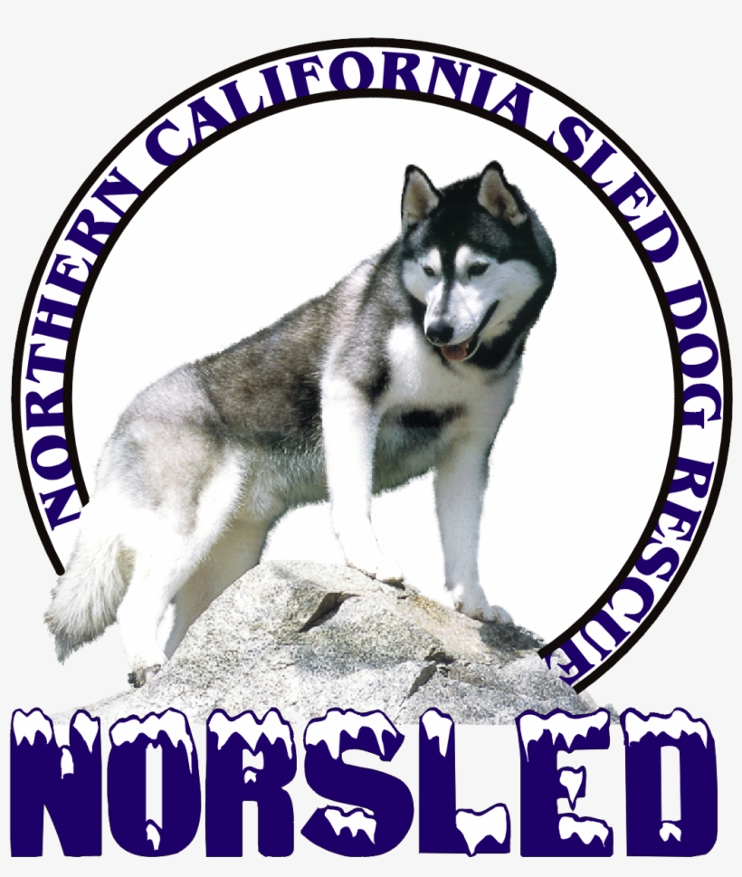 Vinyl Picture Disc Queen - 1059x1184 PNG Download - PNGkit