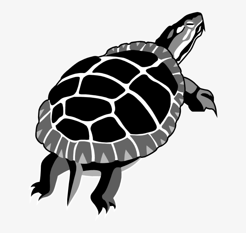 Oneida Nation Cultural Heritage Time Of Abundance Clan - Oneida Clans ...