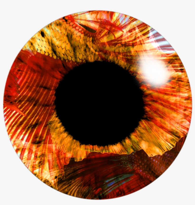 Eye Lenses Png By Me - Picsart Png I Lens - 1600x1200 PNG Download - PNGkit