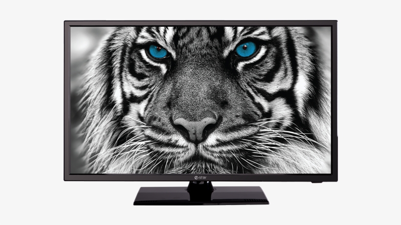 Ledtv 24d1t1 Ledtv Front - Estar D1t1 32 Inch Led Tv Hd 8 Kg - 772x680 ...