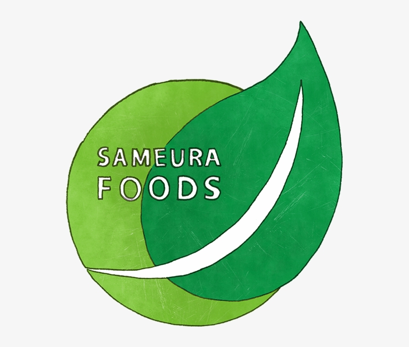 Company History - 800x800 PNG Download - PNGkit