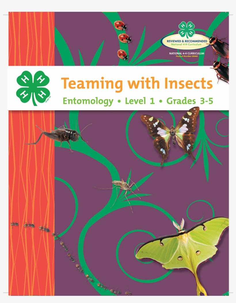 Entomology Curriculum - 1028x1028 PNG Download - PNGkit