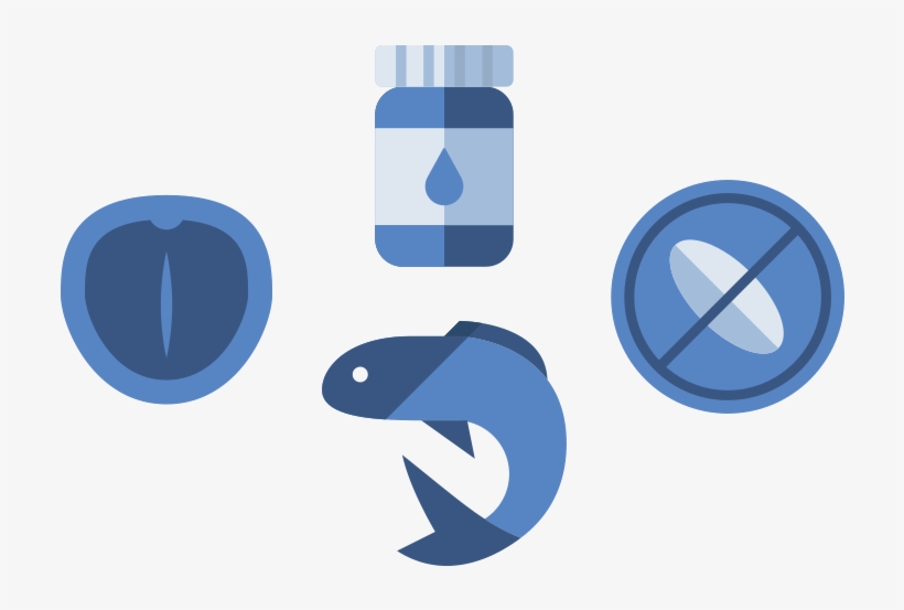Icon Of Macadamia Nut, Fish And Pill Bottle - 900x500 PNG Download - PNGkit