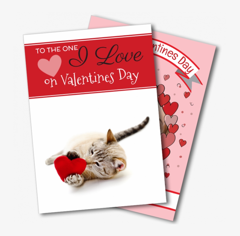 Next Day Card Delivery - 728x728 PNG Download - PNGkit