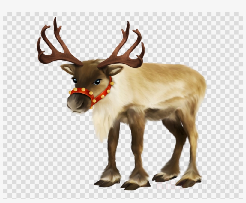 Rudolph The Red Nosed Reindeer Png - 900x700 PNG Download - PNGkit