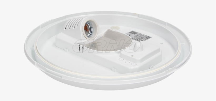 Paper Plate Png - 800x800 PNG Download - PNGkit