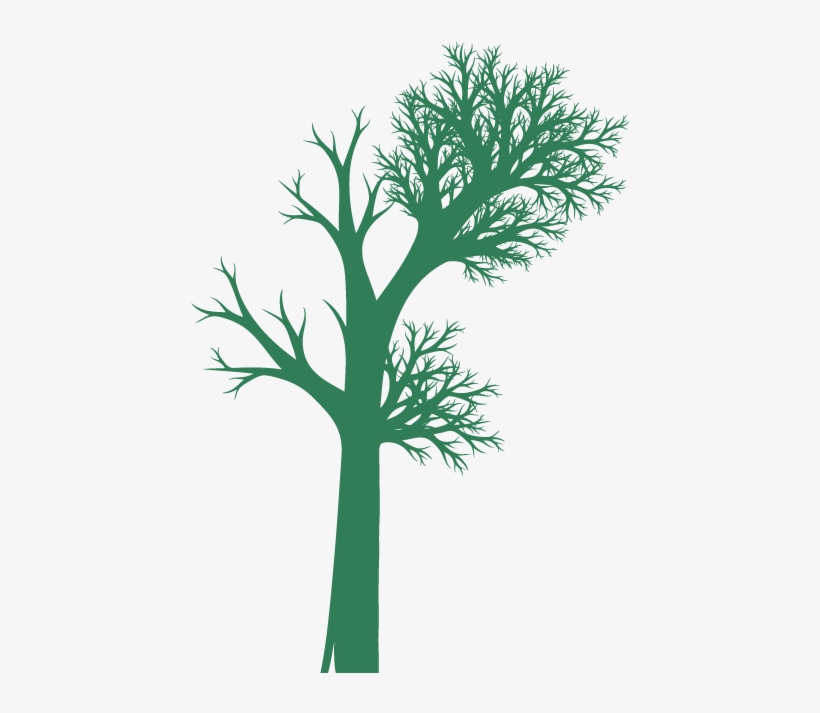 Street Tree Png - 612x792 PNG Download - PNGkit