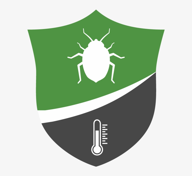 Bed Bug Heat Treatment - 593x680 PNG Download - PNGkit
