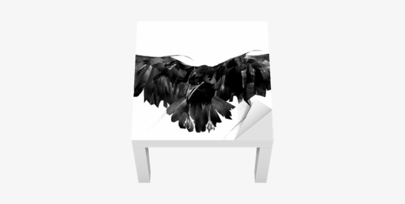 Drawn Flying Crow On White Background Front Lack Table - Vrána Kresba ...