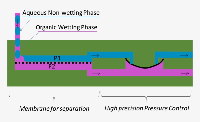 The Wetting Phase Passes Through The Membrane (dotted - Diagram ...