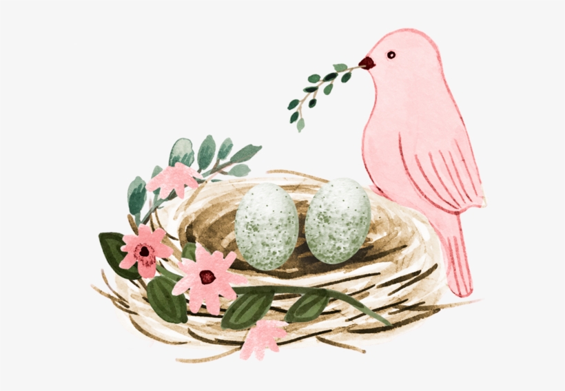 ♥ Bieennnvenueee Cheezzz Zéézééétee ♥ - Bird - 600x488 PNG Download ...