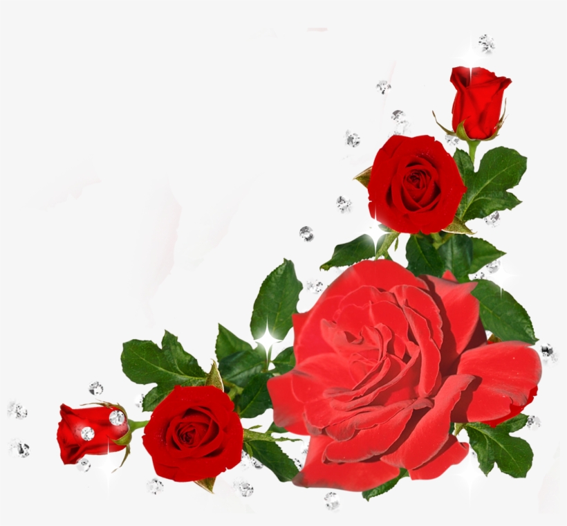Lady Diana - Rose Tribute Tile Coaster - 1304x1145 PNG Download - PNGkit