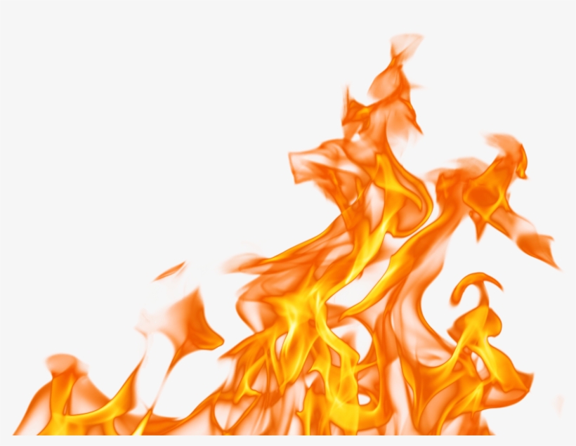 Feu - Fire Png - 800x546 PNG Download - PNGkit