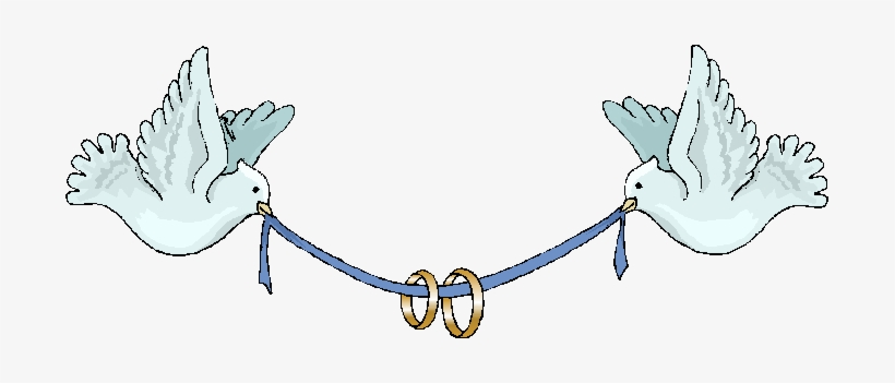 Wedding Love Birds Png - 699x271 PNG Download - PNGkit