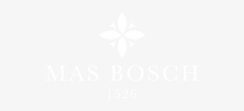 Queensland Government Logo White - 900x637 PNG Download - PNGkit