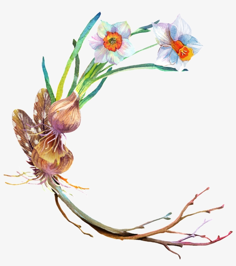 Fungus Mushroom Transparent Decorative - 1024x1102 PNG Download - PNGkit