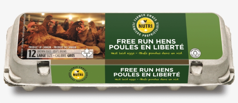 Free Run Hens Large Brown Eggs - 1200x600 PNG Download - PNGkit