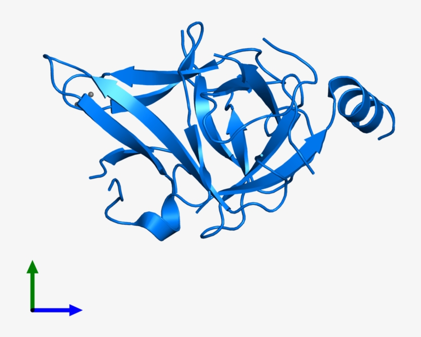 Kek Png - 800x800 PNG Download - PNGkit