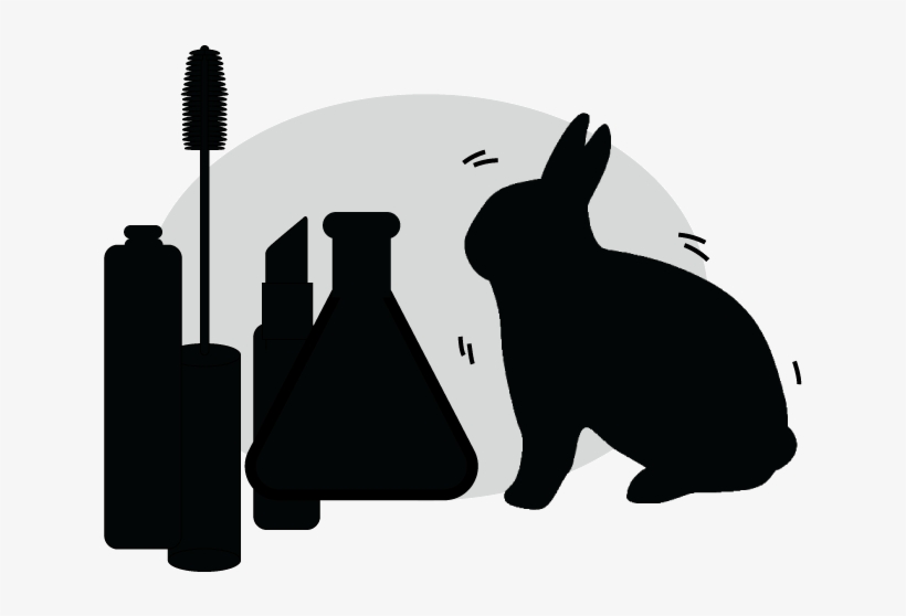 Testing Png - 792x612 PNG Download - PNGkit