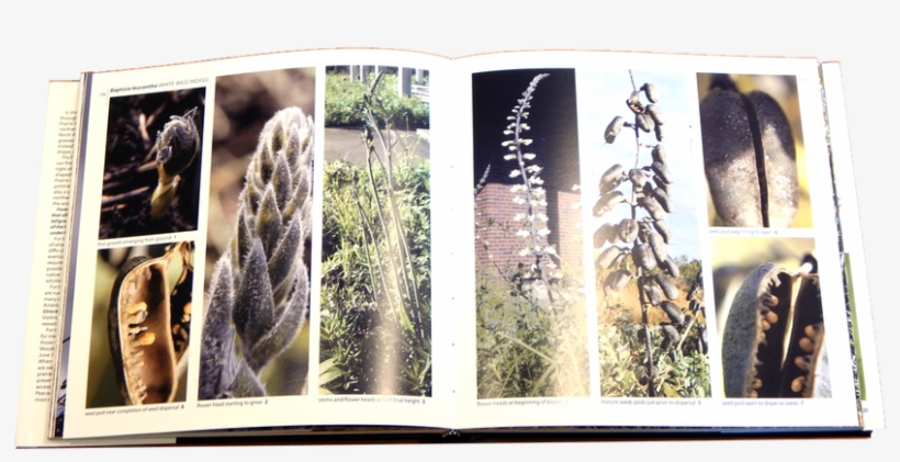 Book 4 Page - 851x410 PNG Download - PNGkit