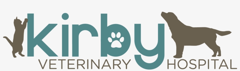 Payment Options - 1800x600 PNG Download - PNGkit