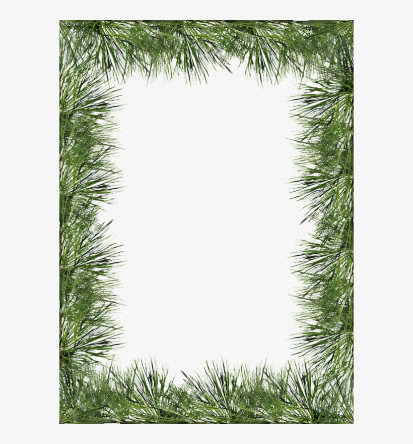 Christmas Pine Frame Png Clipart Borders And Frames - 584x800 PNG ...