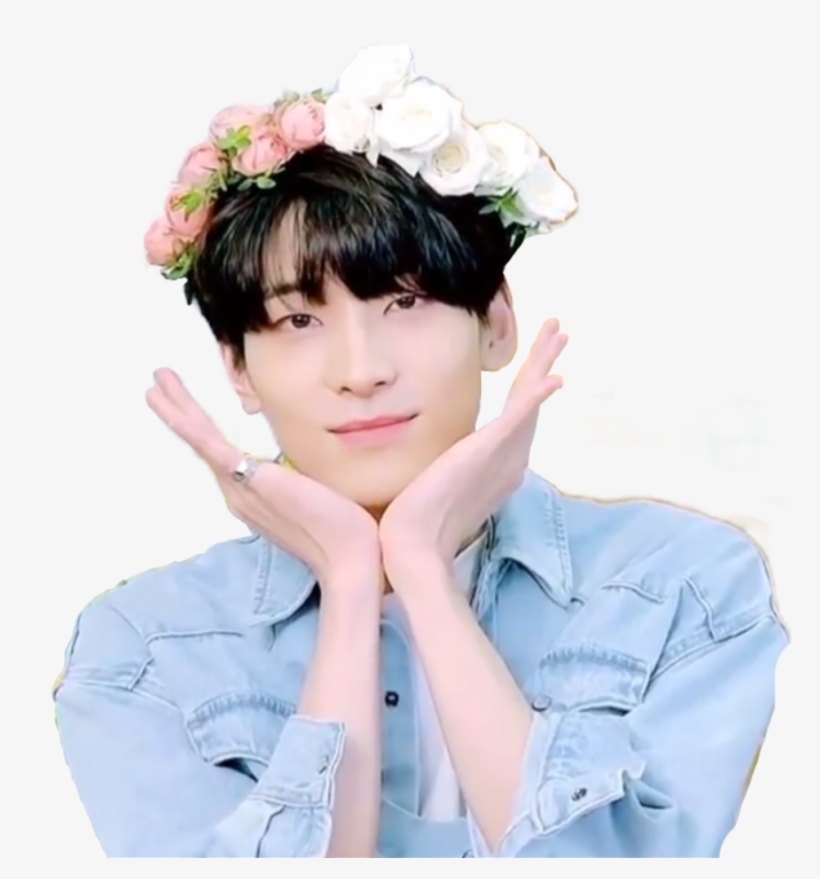 Jeon Wonwoo Wonwoo Wonu Seventeen Flowerboy Kpop Sevent - 1024x1024 PNG Download - PNGkit