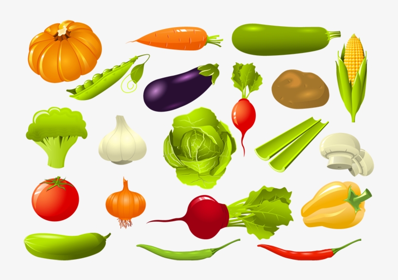 Vector Vegetables Png - 800x600 PNG Download - PNGkit