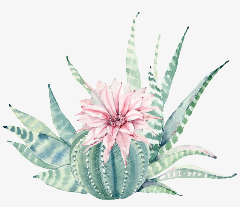 Clip Art Transparent Download Plant Painting Canvas - Watercolor ...