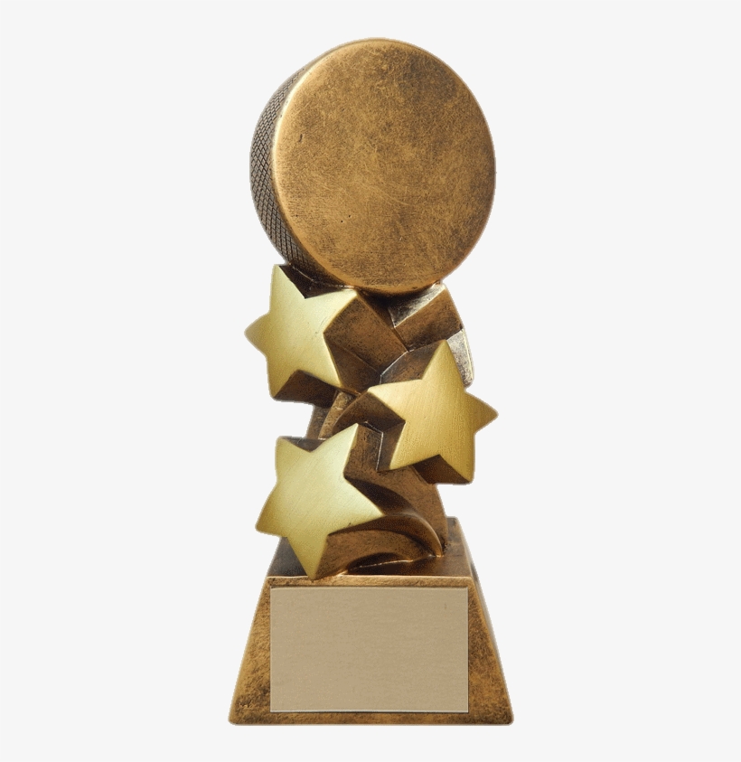 Blizzard Hockey Puck Resin Trophy - Hockey Puck Trophy - 355x800 PNG ...