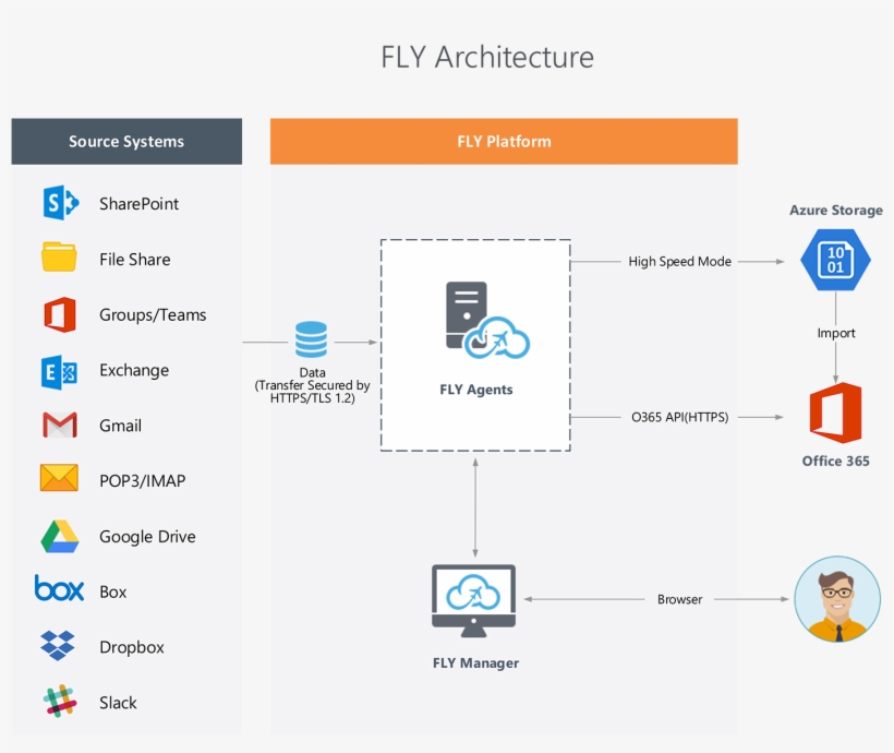 Fly Diagram - 1461x1165 PNG Download - PNGkit