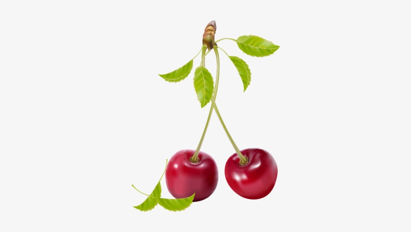 Realistic Cherry Vector And Transparent Png The Facebook - 1200x628 PNG ...