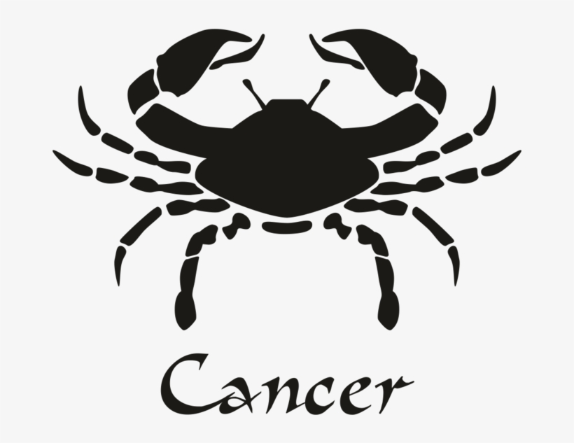 Previous - 760x760 PNG Download - PNGkit