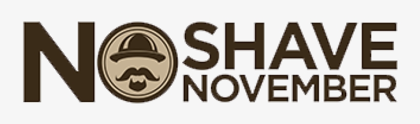 Hsn Logo Png - 800x500 PNG Download - PNGkit