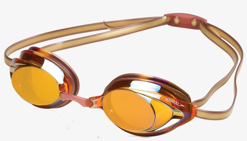 Speedo Maroon And Gold Vanquisher - 1100x574 PNG Download - PNGkit