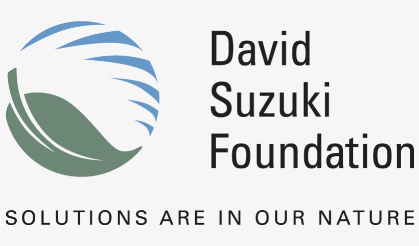 Dsf Logo Rgb - 812x410 PNG Download - PNGkit