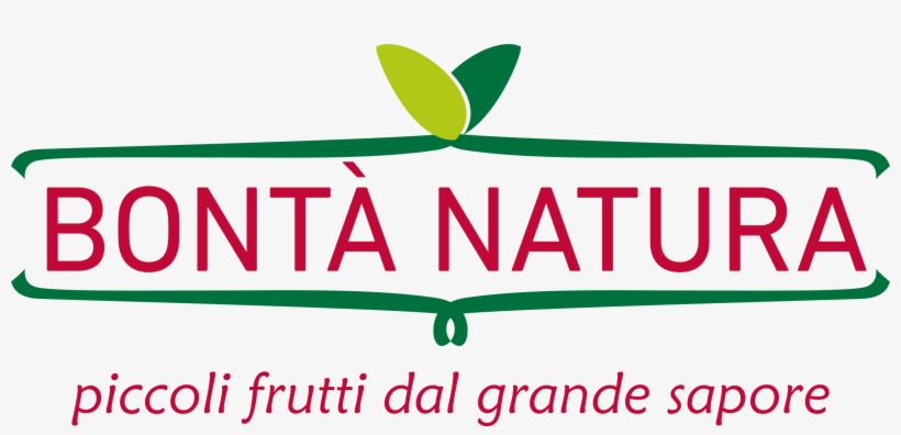Bonta Natura Logo Pay - 2642x1150 PNG Download - PNGkit