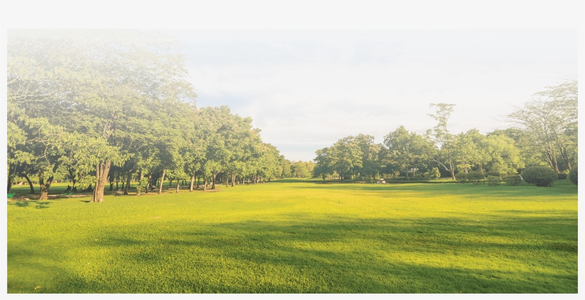 Park Background Png - 1600x744 PNG Download - PNGkit