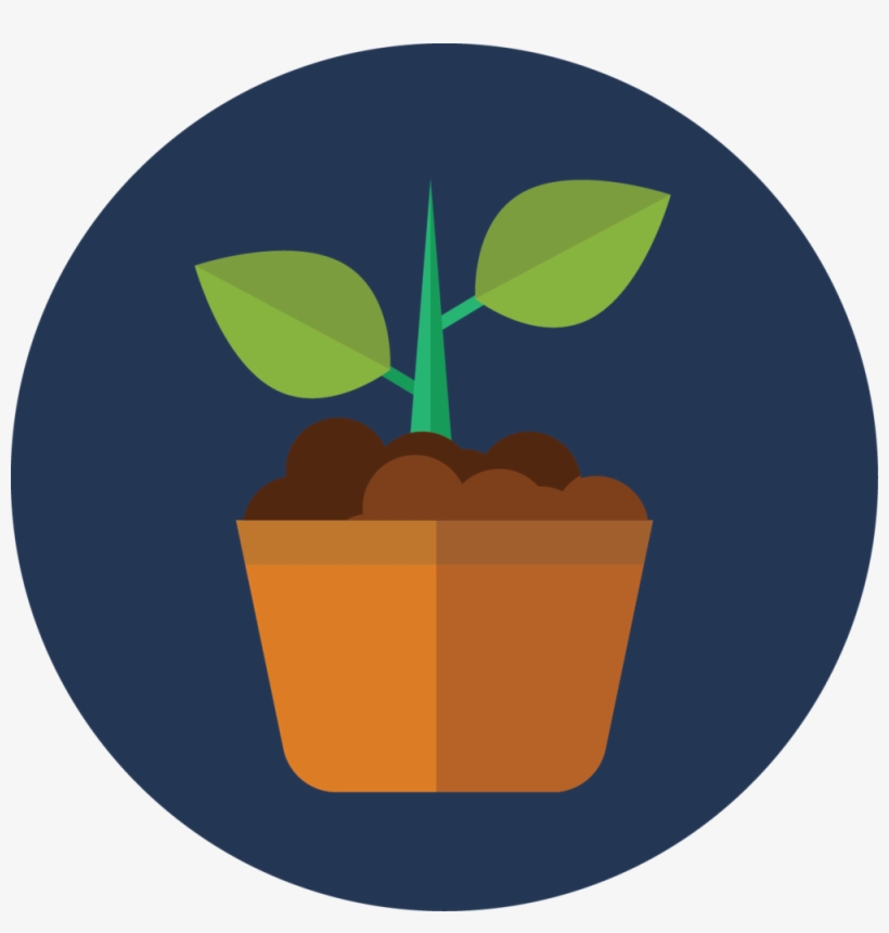 Growth - 1000x1000 PNG Download - PNGkit