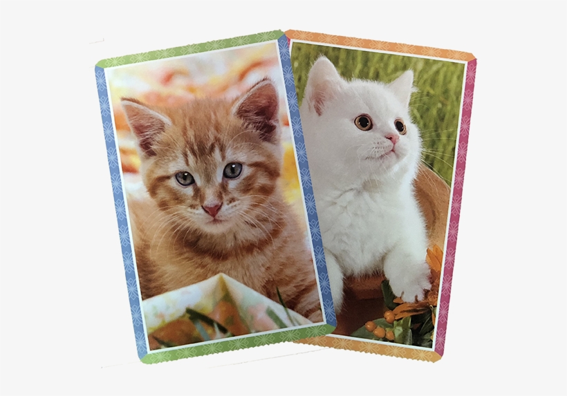 Kittens Playing Cards - Springbok Puzzles Kittens Bridge Tally Sheets ...