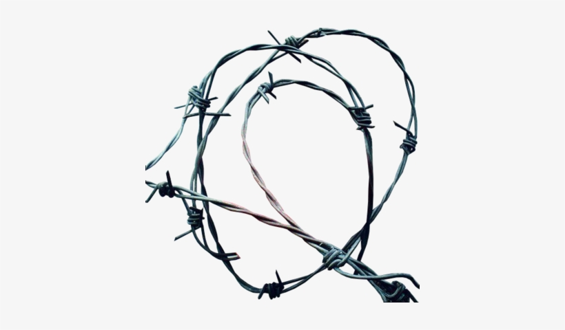 Barbwire Png Cutouts - Barb Wire Png - 398x400 PNG Download - PNGkit