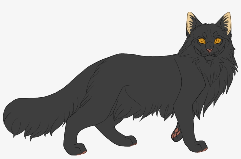 Download Transparent Shadowclan By Twistedfoot On Deviantart Picture ...