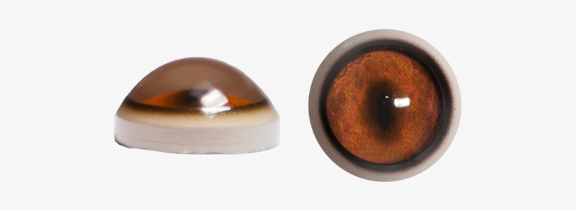 Fox Eyes Transparent Background - Download All Png Background - 500x500 ...