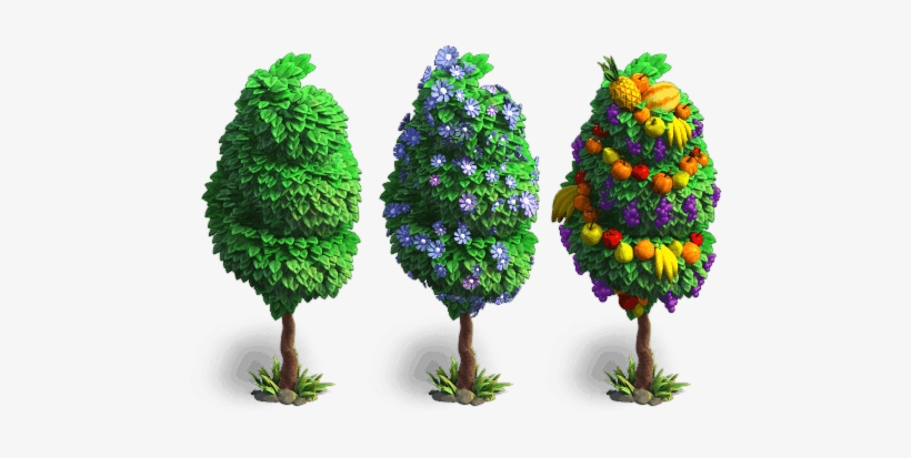 Fruit Tree Stages - Stages Of A Fruit Tree - 480x333 PNG Download - PNGkit