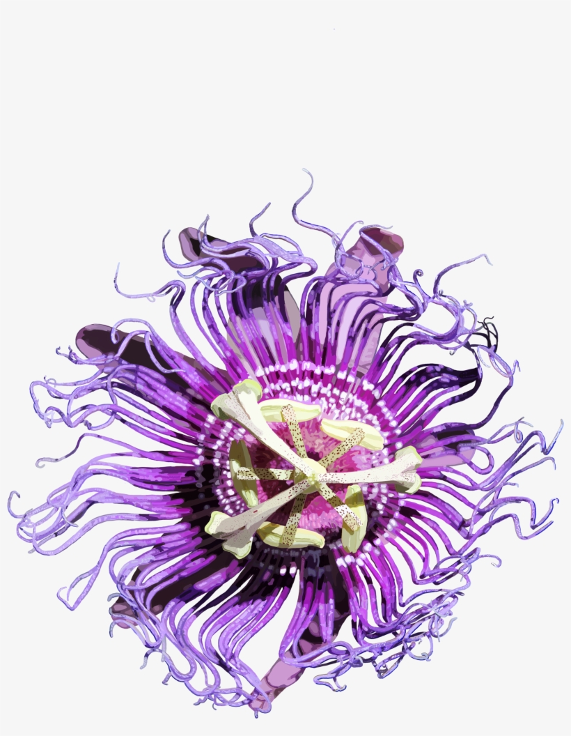 This Is Cthulhu's Favorite Flower - 2400x3600 PNG Download - PNGkit