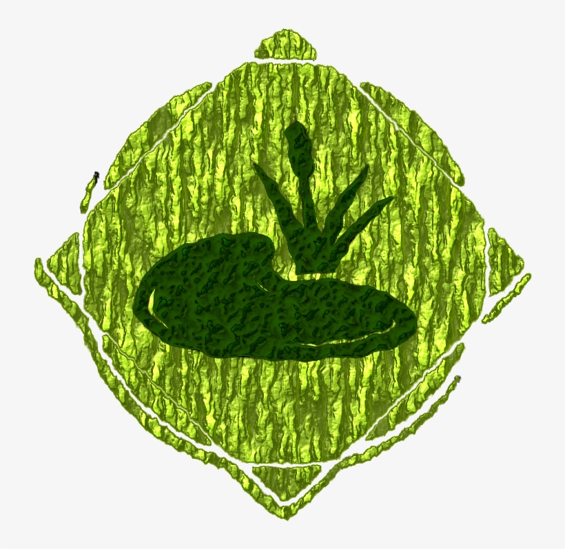 Swamp Medal - 861x849 PNG Download - PNGkit