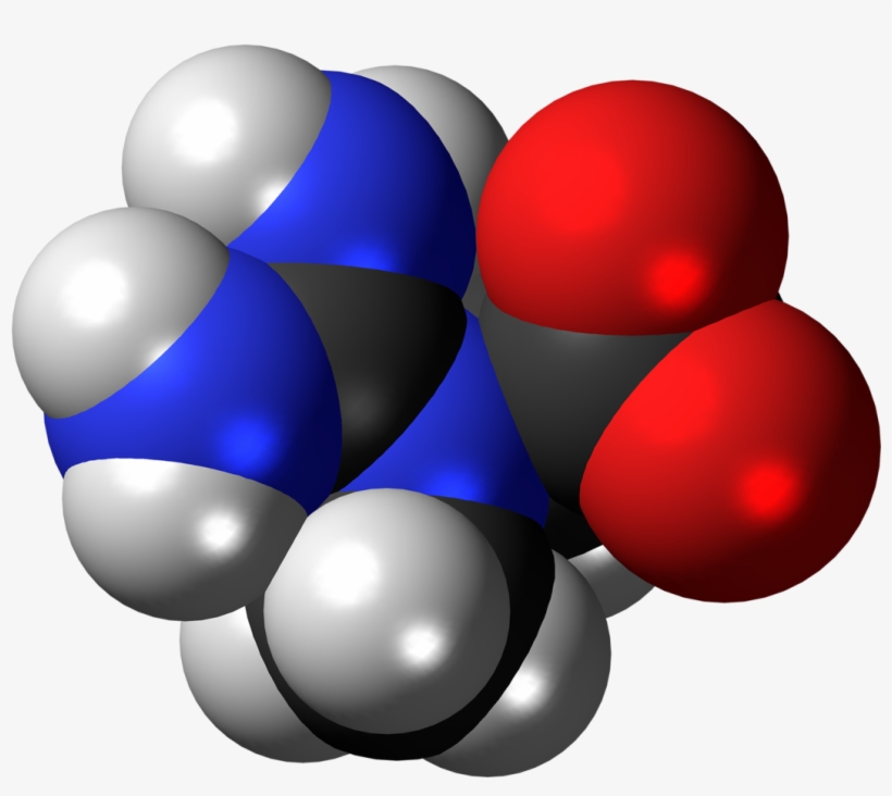 Creatine Zwitterion Spacefill - 1189x1024 PNG Download - PNGkit